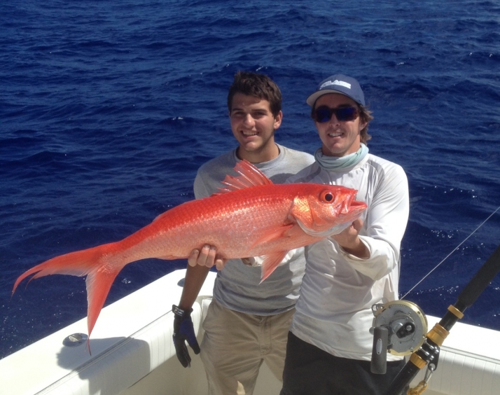 8-13-13 bnm II queen snapper – Fishing Islamorada
